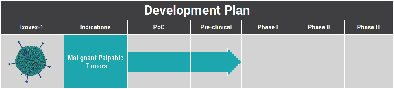 Clinical Development Plan – PsiVac